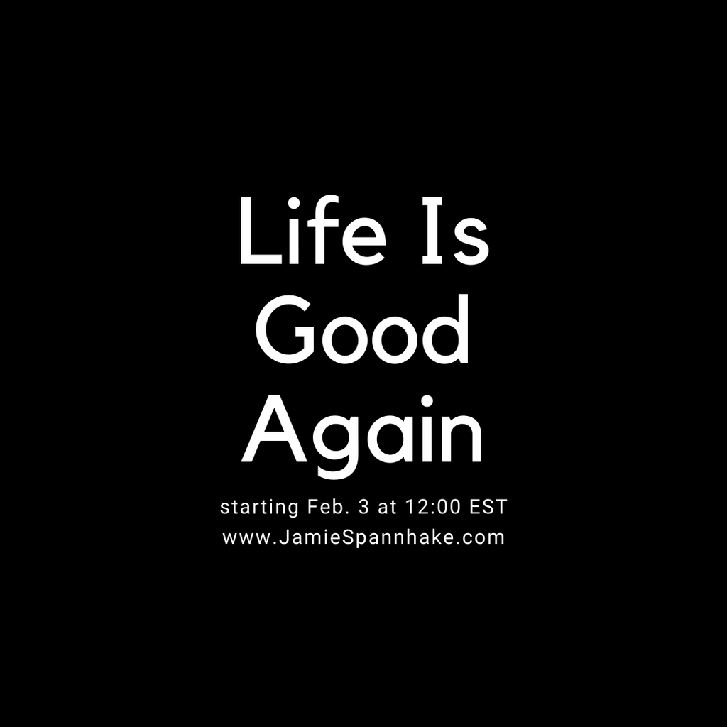"Life Is Good Again" Group Program – Jamie Jackson Spannhake